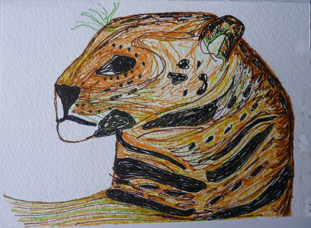 Art Gallery | Linnea Johnson's Collected Works